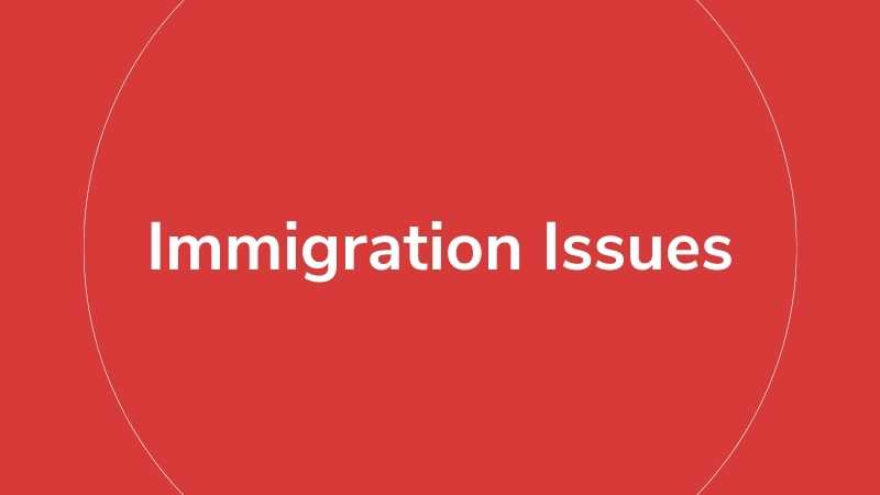 Immigration Issues - Professional Visa Solutions