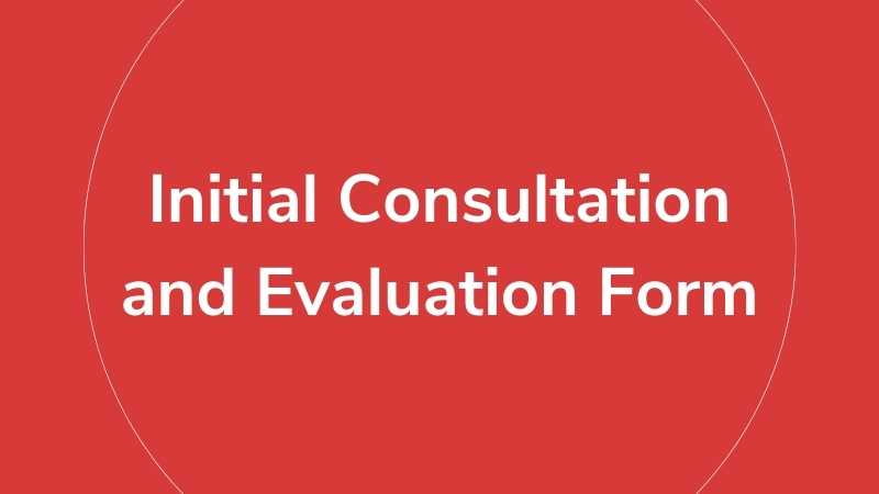 Initial Consultation Form - Professional Visa Solutions